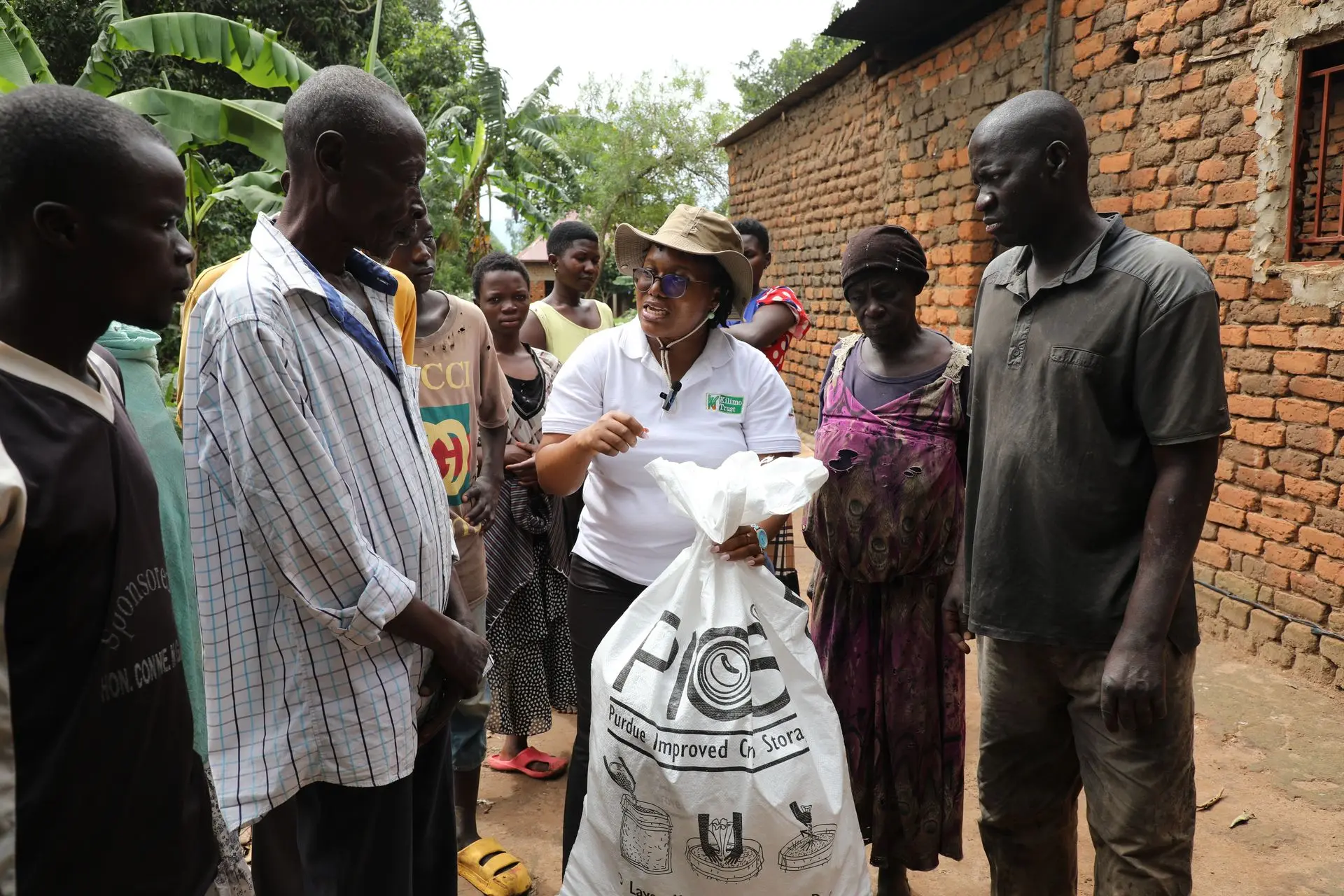Tackling the Silent Crisis of Post-Harvest Losses in Uganda | Kilimo Trust
